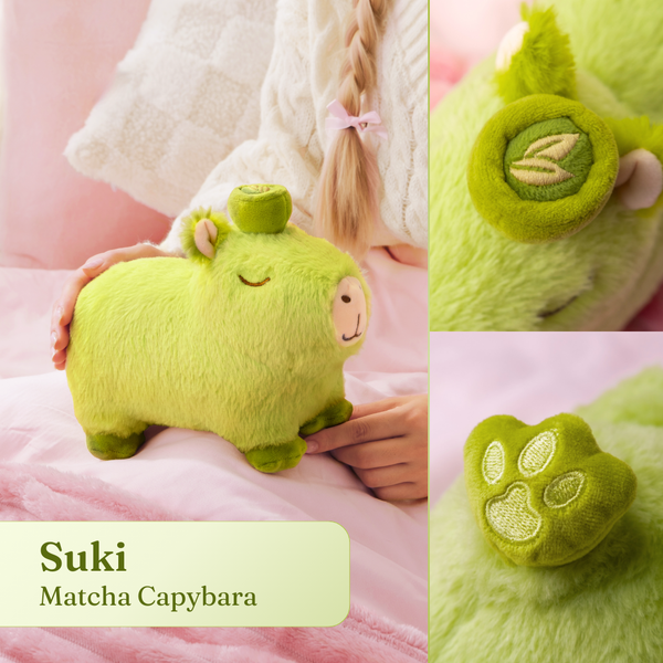 10" Capybara Plushie – Capy-Era