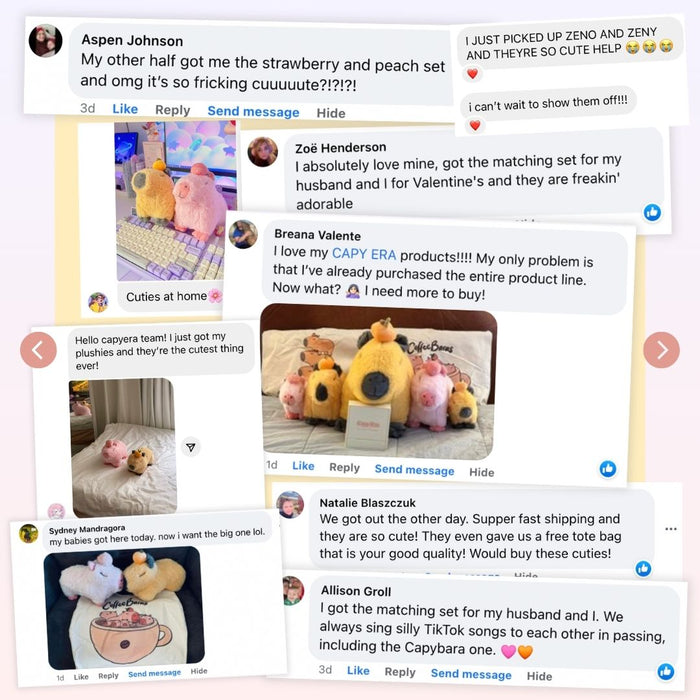 10" Capybara Plushie – Capy-Era