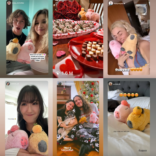 10" Capybara Plushie – Capy-Era