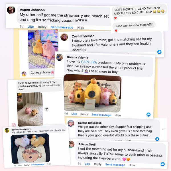 10" Capybara Plushie – Capy-Era