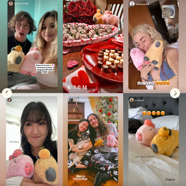 10" Capybara Plushie – Capy-Era