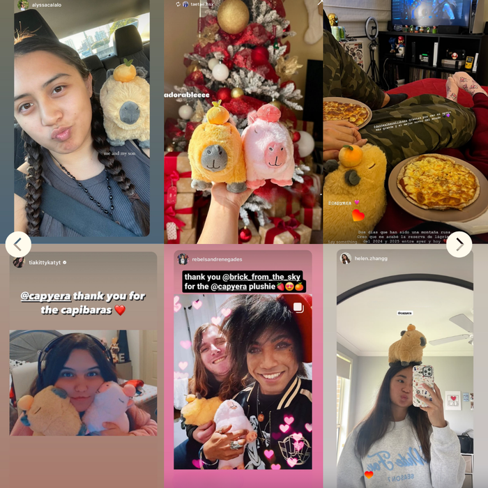 10" Capybara Plushie – Capy-Era